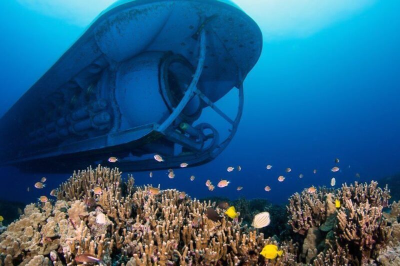 From Kona: Big Island Underwater Submarine Adventure - The Price versus the Value