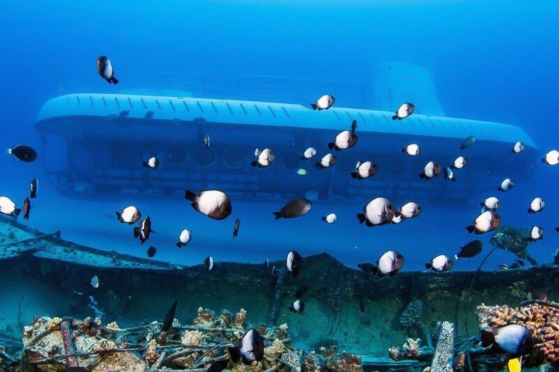 From Kona: Big Island Underwater Submarine Adventure - Why This Tour Works Well for Different Travelers