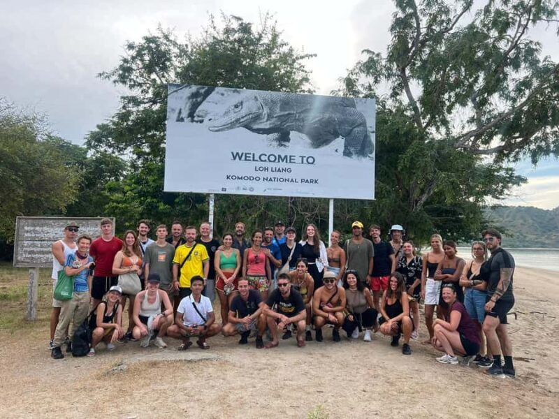 From Kopang: Komodo Island & Whale Shark Trip 4-Day Trip - Real Traveler Feedback