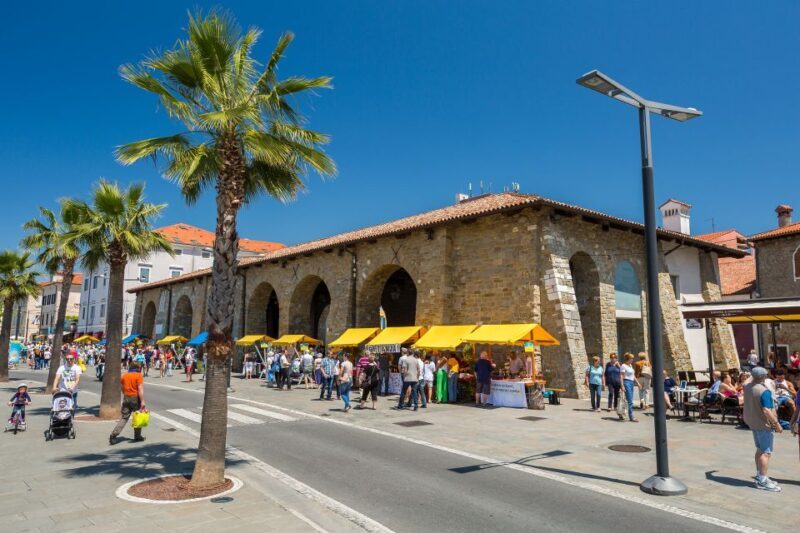 From Koper: Piran and Panoramic Slovenian Coast Tour - Key Points