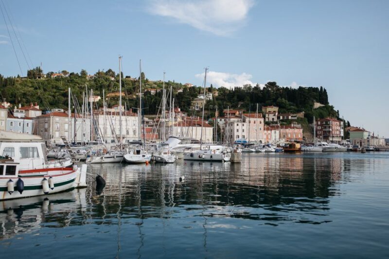 From Koper: Piran's Tastes and Tales - Who Is This Tour Best For?