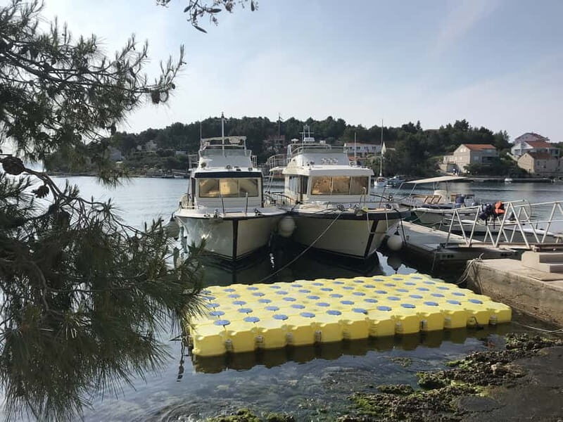 From Korcula island: Mljet Island Yacht Day Trip with Lunch - Who This Tour Is Best For