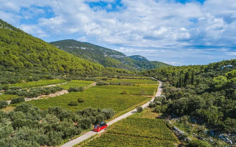 From Korcula Town: Local Wine & Sightseeing Half-Day Tour - Transportation and Group Size