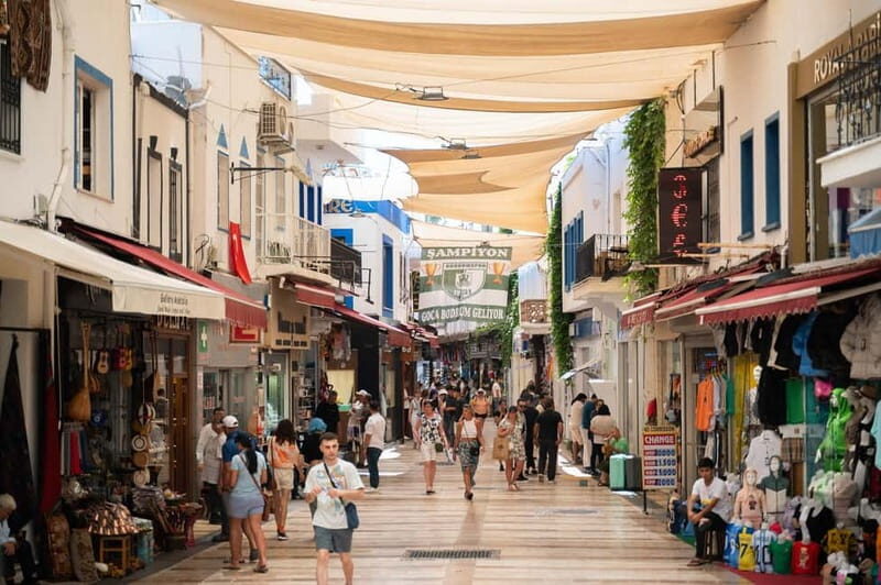 From Kos: Bodrum Day Trip by Ferry with Transfer - Key Points