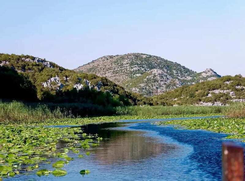 From Kotor and Tivat: Private Tour to Skadar Lake - Key Points