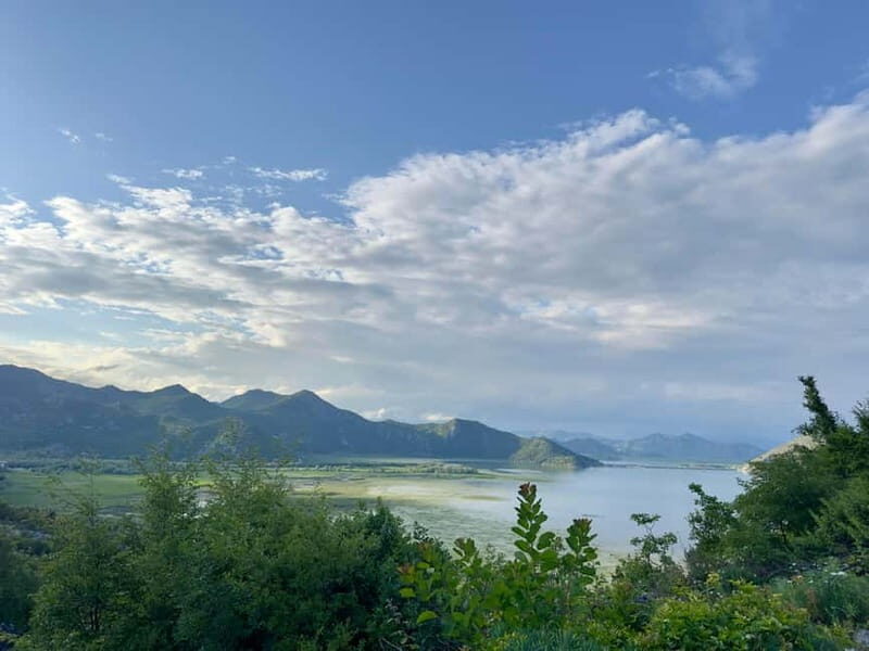 From Kotor and Tivat: Private Tour to Skadar Lake - Interacting with Nature at the Vranjina Visitor Center