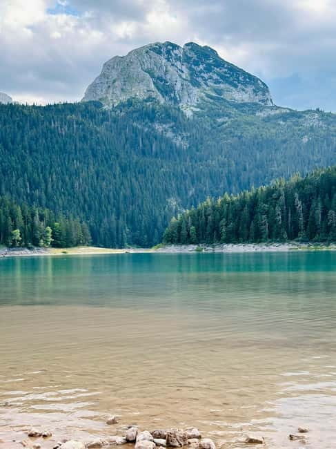 From Kotor: Durmitor National Park and Tara Bridge Day Trip - A Closer Look at the Itinerary