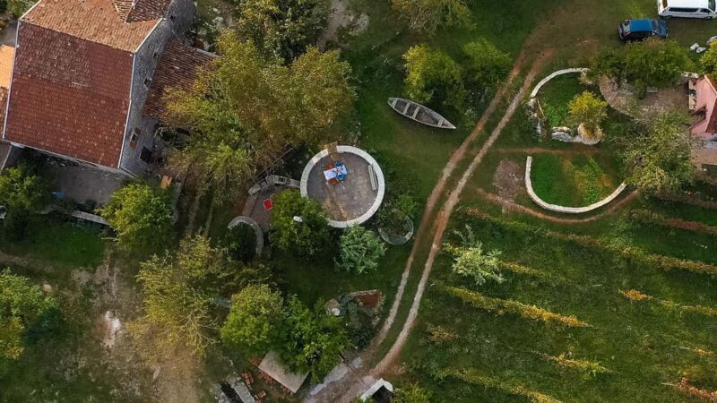 From Kotor: Lake Skadar Wine and Culinary Tour - Authentic Perspectives: What Travelers Are Saying