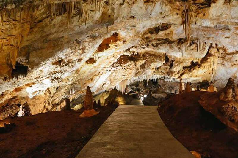 From Kotor:Private Excursion Wild Beauty of the Lipa Cave - The Experience: What You Can Expect