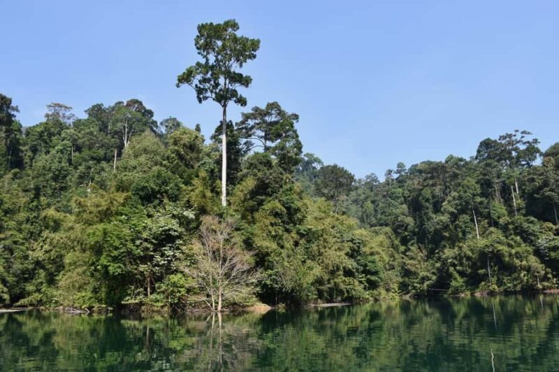 From Krabi: Cheow Lan Lake Cruise and Khao Sok Jungle Hike - An In-Depth Look at the Tour Experience