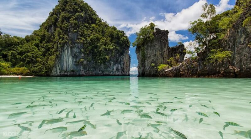 From Krabi: Hong Islands Day Trip by Speedboat with Lunch - Who Will Love This Trip?