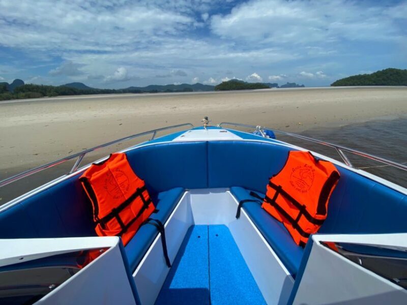 From Krabi: Phi Phi Island Full-Day Private Speed Boat Tour - What Past Travelers Say: Authentic Perspectives