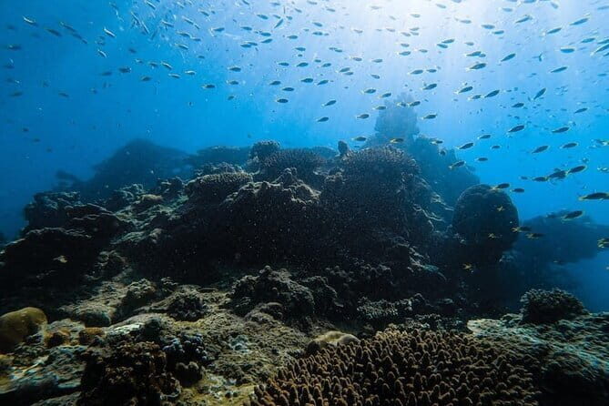 From Krabi - Phi Phi Island & Maya Bay Speedboat Tour with Lunch - Bamboo Island: Relaxation and Snorkelling Paradise