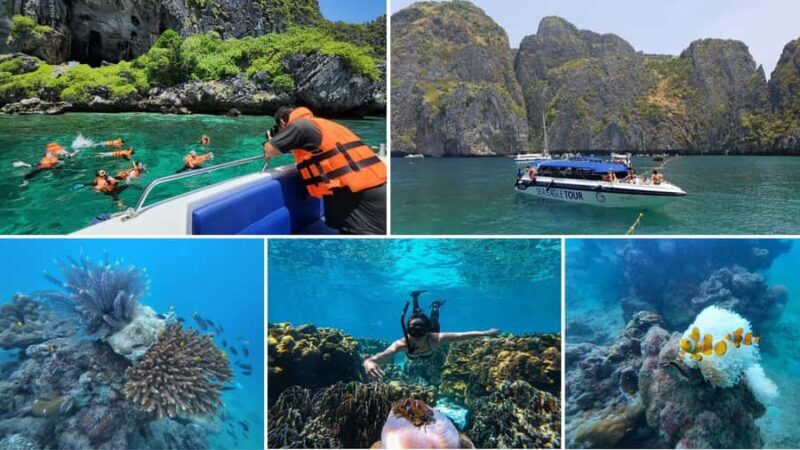 From Krabi: Phi Phi Islands & 4 Islands Speedboat Tour - FAQ