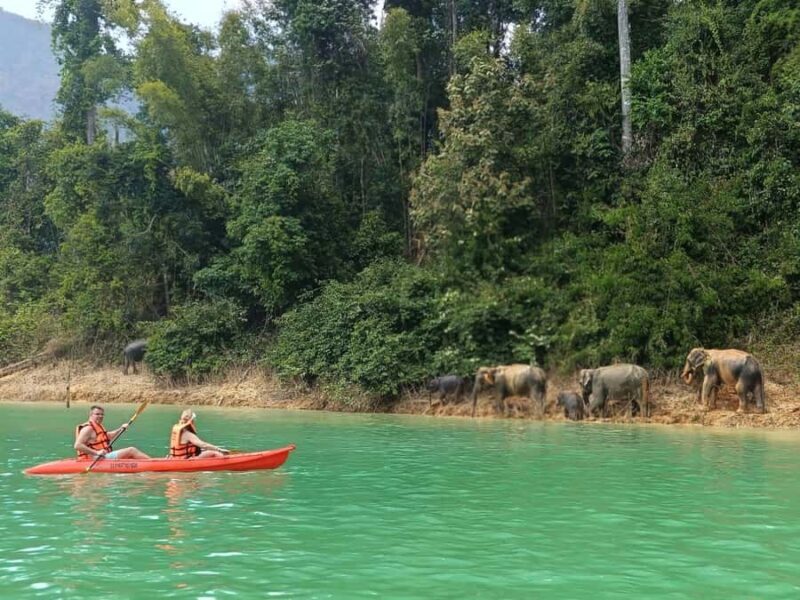 From Krabi: Unforgettable Full-Day Khao Sok Lake Adventure - Final Thoughts