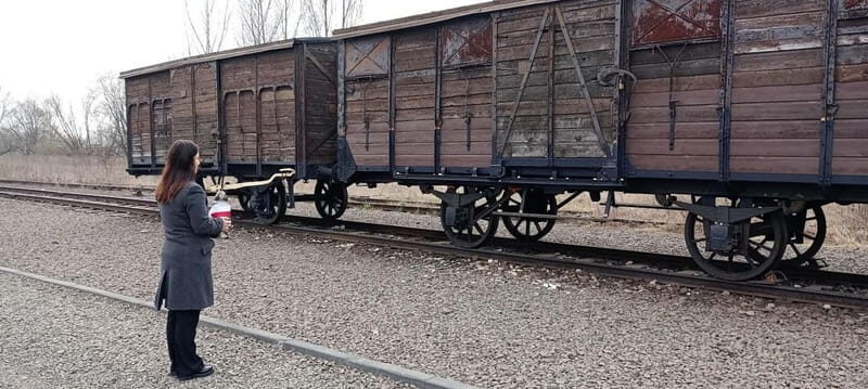 From Kracow: Auschwitz Complex Alternative Tour - Key Points