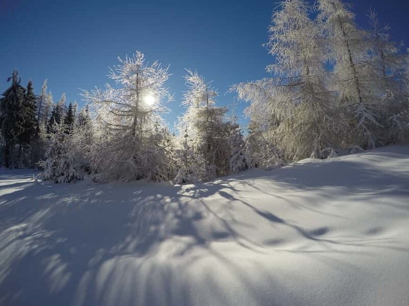 From Krakow: 3-Hour Skiing Experience Suitable for Beginners - What to Expect from the 3-Hour Skiing Tour