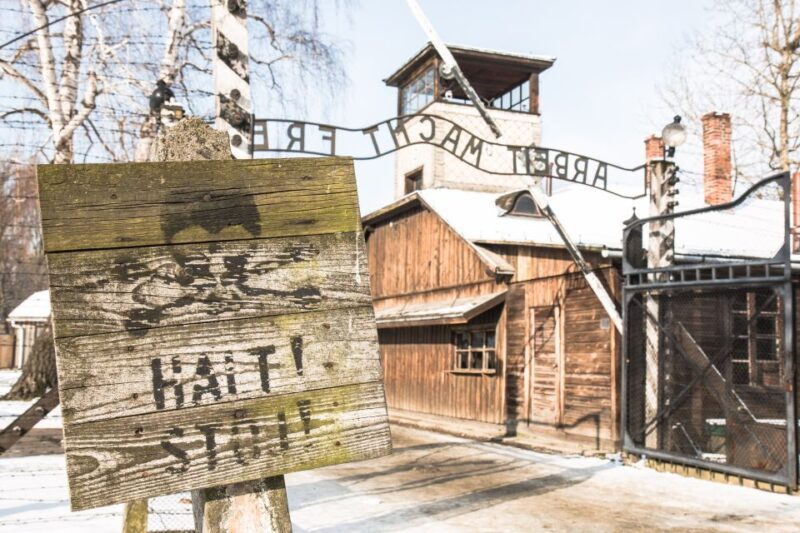 From Krakow: Auschwitz and Wieliczka Salt Mine Full-Day Trip - What We Love About This Tour