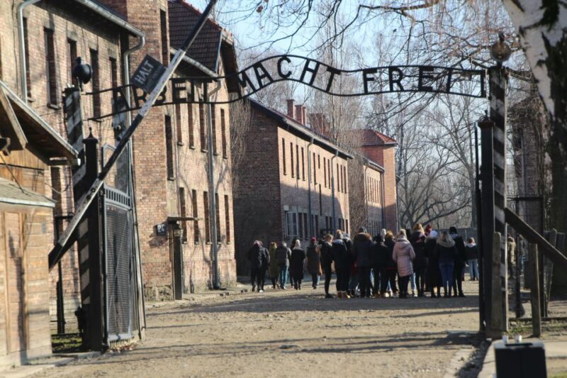 From Krakow: Auschwitz-Birkenau and Self-Guided Day Tour - Key Points
