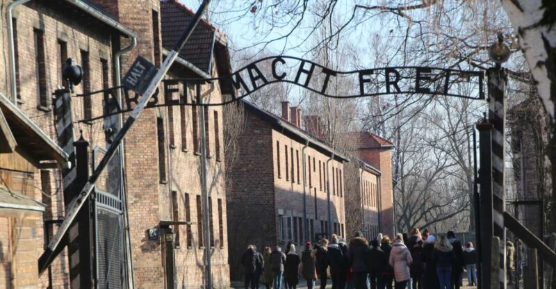 From Krakow: Auschwitz-Birkenau and Self-Guided Day Tour - Final Thoughts
