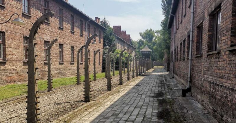 From Krakow: Auschwitz-Birkenau Camp Complex Guided Day Trip - Who Should Consider This Tour?