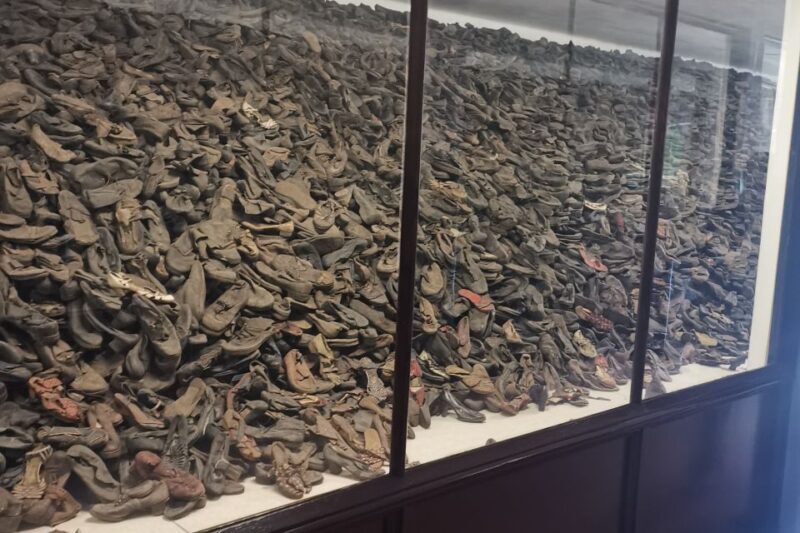 From Krakow: Auschwitz-Birkenau Camp Complex Guided Day Trip - FAQ