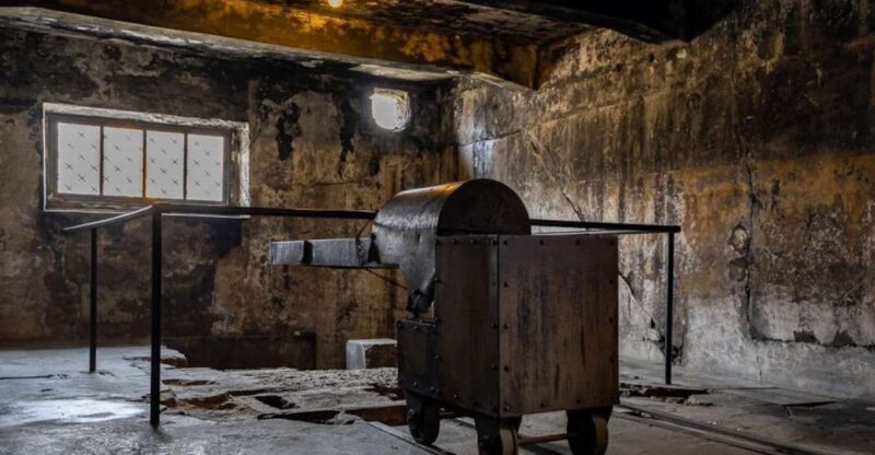 From Krakow: Auschwitz-Birkenau Full-Day Tour - Key Points