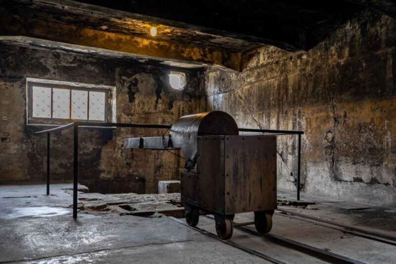 From Krakow: Auschwitz-Birkenau Full-Day Tour - Practical Details and Tips