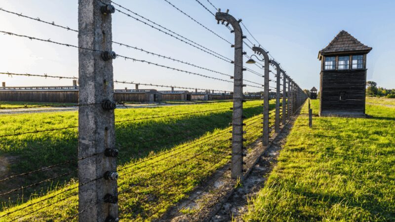 From Krakow: Auschwitz-Birkenau Guided Tour Guaranteed Time - What You Will See and Learn