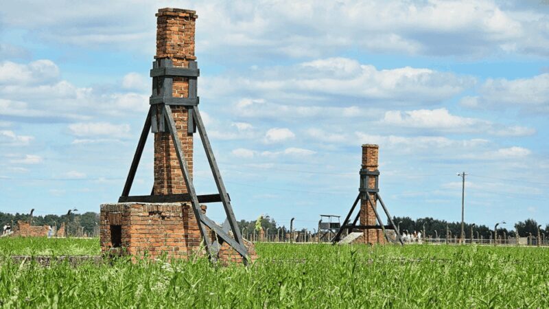 From Krakow: Auschwitz-Birkenau Guided Tour Guaranteed Time - Who Should Consider This Tour?