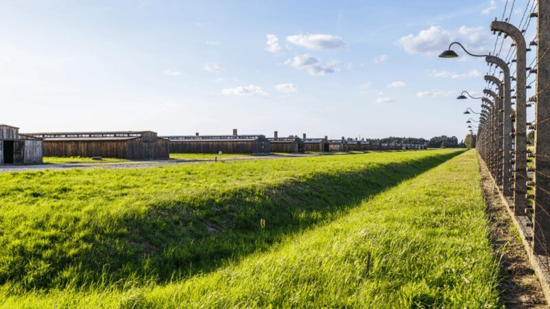 From Krakow: Auschwitz-Birkenau Guided Tour Guaranteed Time - Final Thoughts