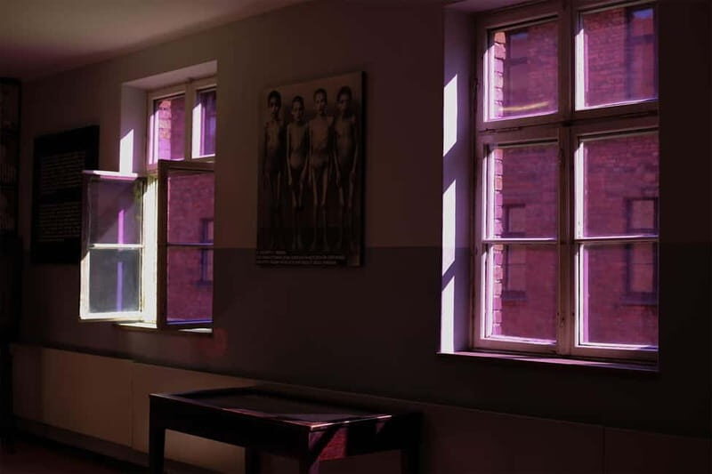 From Krakow: Auschwitz-Birkenau Guided Tour & Pickup Options - Key Points