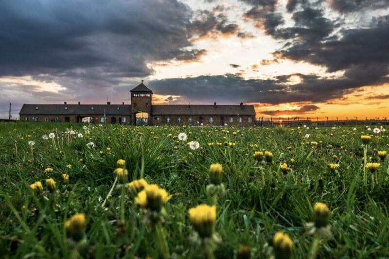From Krakow: Auschwitz-Birkenau Guided Tour & Pickup - Deepening Your Understanding and Reflection