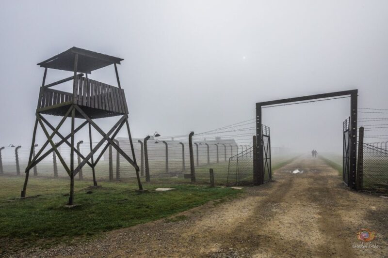 From Krakow: Auschwitz-Birkenau Guided Tour & Pickup - The Bottom Line: Who Will Benefit Most?