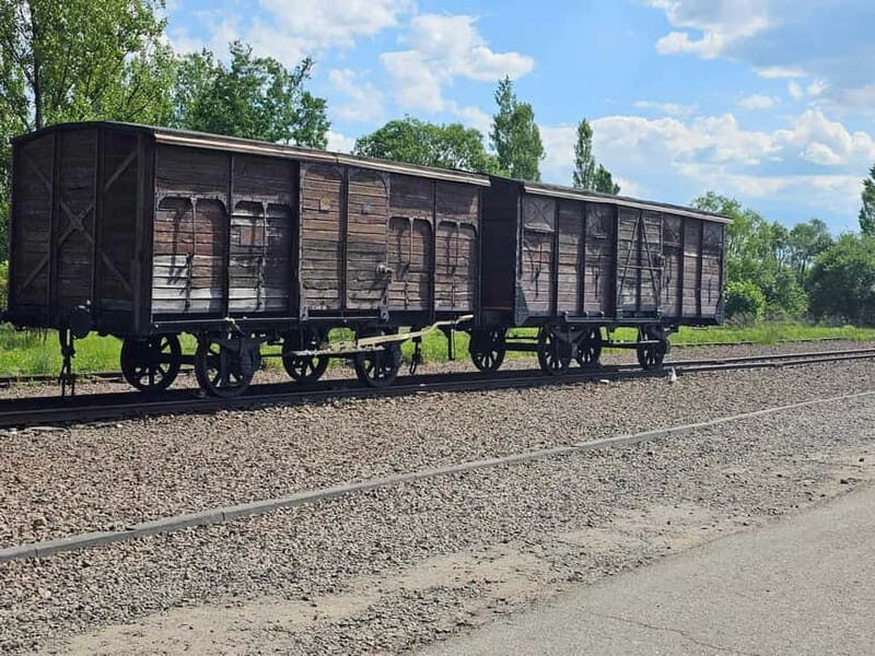 From Krakow: Auschwitz-Birkenau Guided Tour with Pickup - Learning from Reviews and Real Experiences