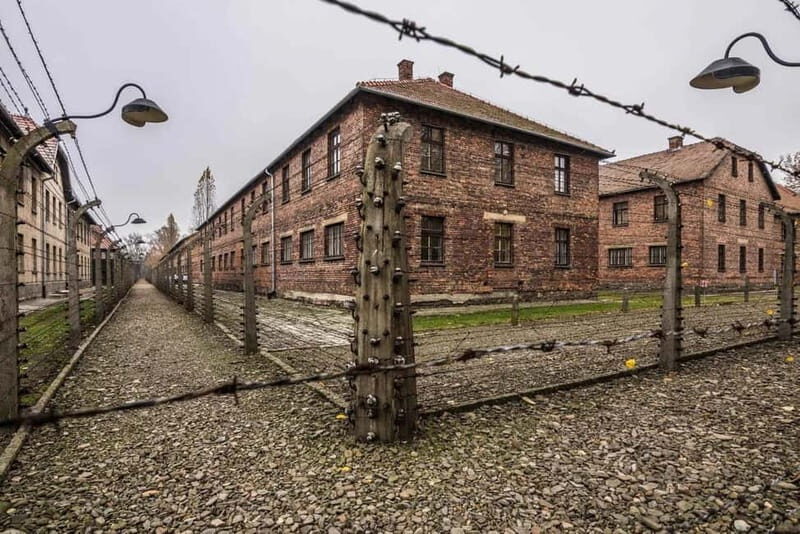 From Krakow: Auschwitz-Birkenau Guided Tour with Transfer - The Value of This Tour