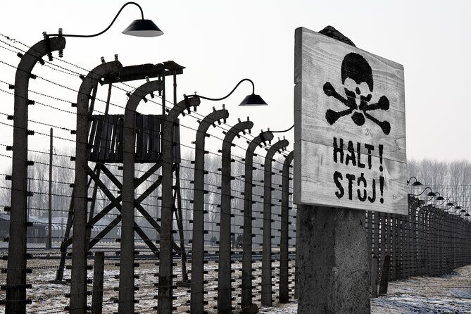From Krakow: Auschwitz-Birkenau Memorial and Museum Guided Tour - Birkenau: The Larger, Sadder Site