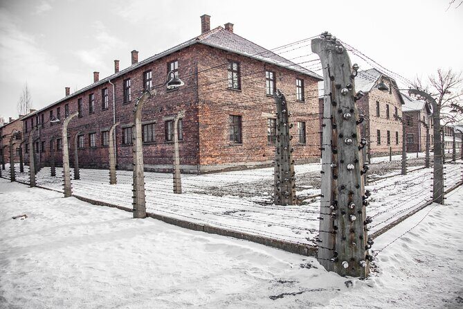 From Krakow: Auschwitz-Birkenau Memorial and Museum Guided Tour - The Value and Practicality of the Tour