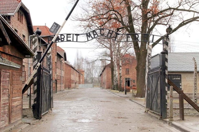 From Krakow: Auschwitz-Birkenau Memorial and Museum Tour - Key Points