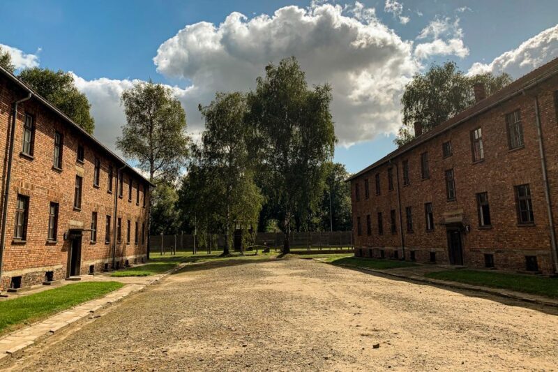 From Krakow: Auschwitz-Birkenau Memorial and Museum Tour - Who Will Love This Experience?
