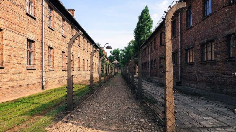 From Krakow: Auschwitz-Birkenau Memorial Private Tour - Authentic Experiences From Past Travelers