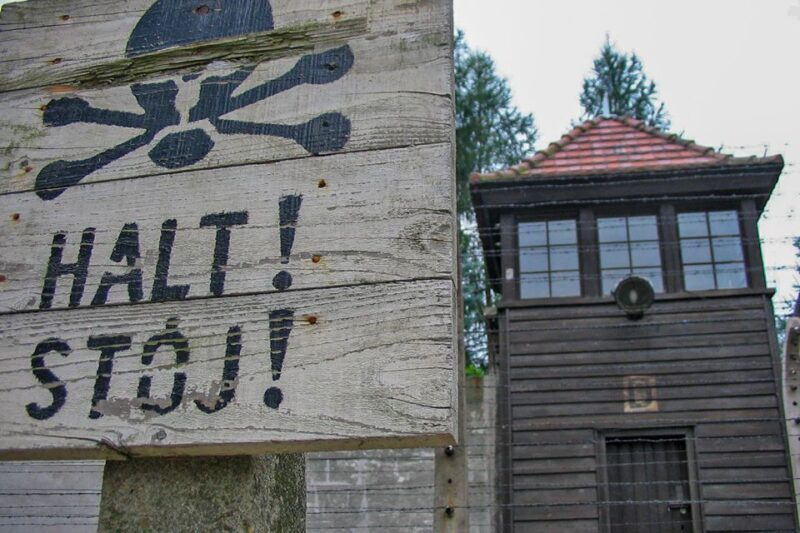 From Krakow: Auschwitz-Birkenau Private or Shared Tour - Transportation & Flexibility: Why it matters