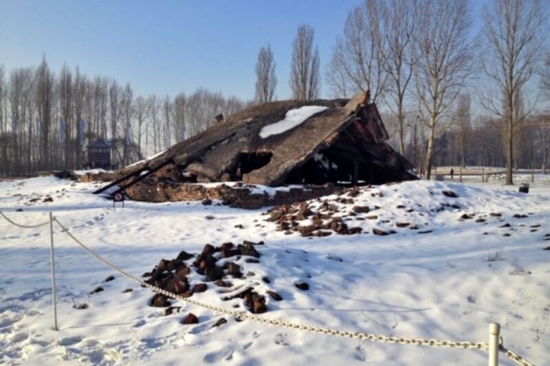 From Krakow: Auschwitz-Birkenau Private or Shared Tour - The Value of the Experience: What You’re Paying For