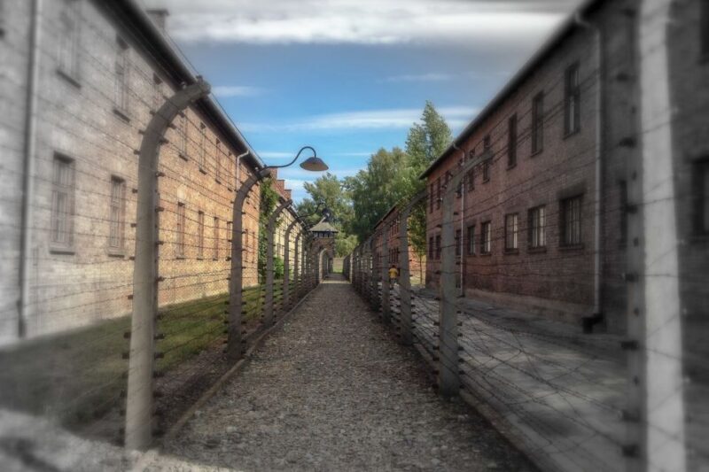 From Krakow: Auschwitz-Birkenau Private or Shared Tour - Who Should Consider This Tour?