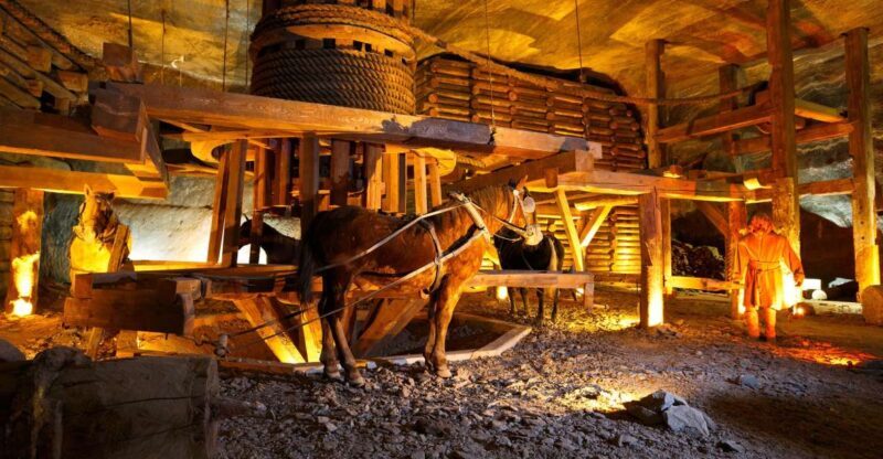 From Krakow: Auschwitz-Birkenau & Salt Mines with Lunch - Practical Details and The Experience