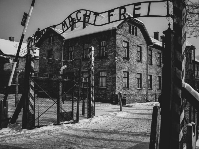 From Krakow: Auschwitz Birkenau Self-Guided Tour - Key Points