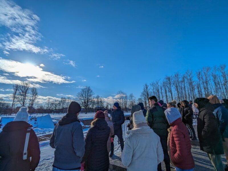 From Krakow: Auschwitz Birkenau Self-Guided Tour - The Value for Money
