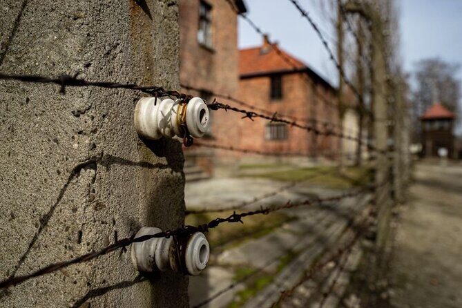 From Kraków: Auschwitz-Birkenau Tour with Lunch Box and Pick Up - What to Expect from the Tour