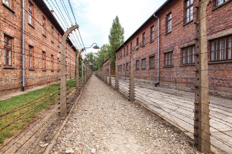 From Krakow: Auschwitz Birkenau Tour with Transfer - Key Points