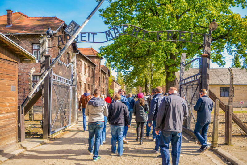 From Krakow: Auschwitz-Birkenau Tour with Transportation - Introduction: Is This Tour Right for You?